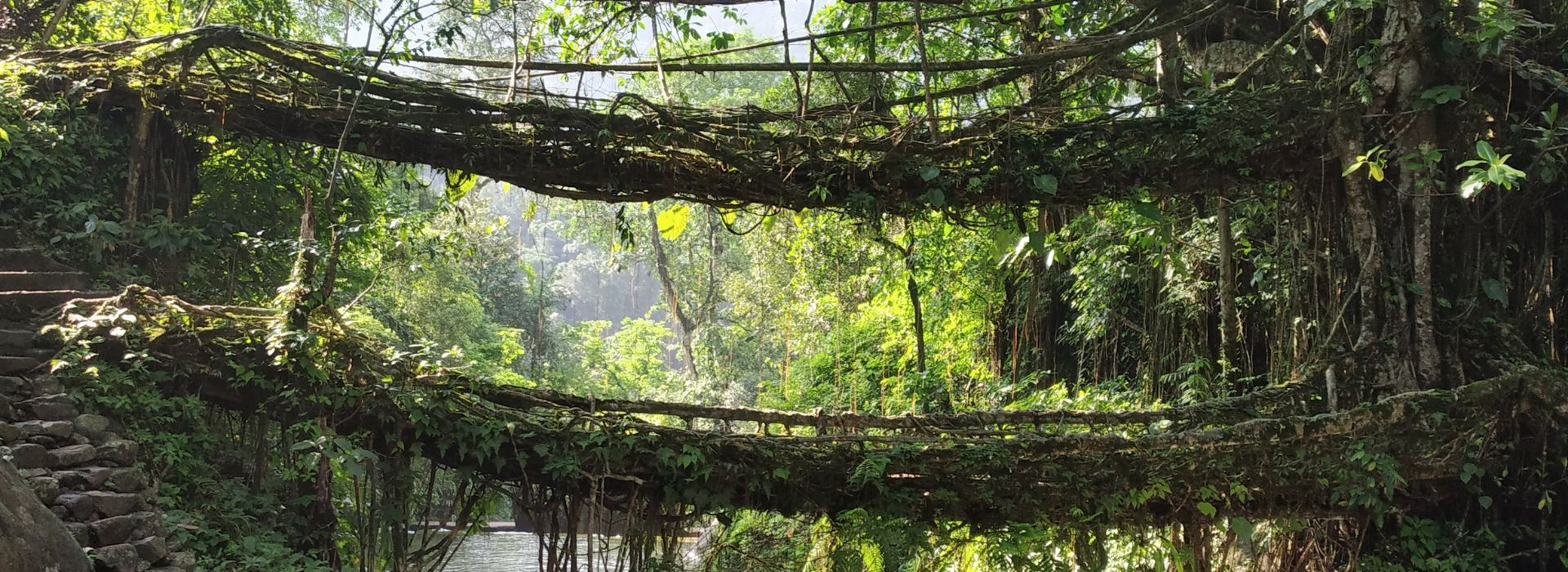 Meghalaya Ladies-Only Tour | Appooppanthaadi
